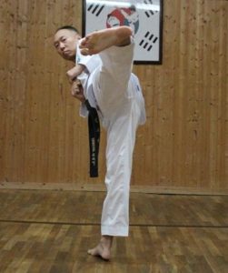 Chagi (Kicking) - WT-Korea